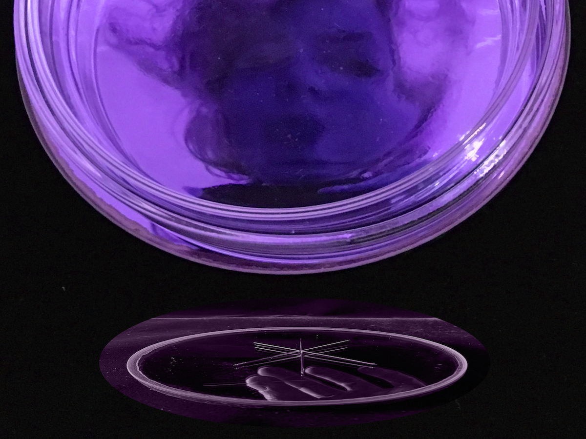 cat jones | art and science